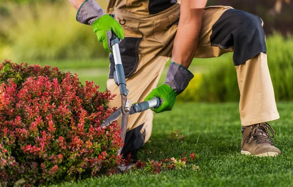 Garden Cleaning Services - Perth Gardening & Cleaning Services WA